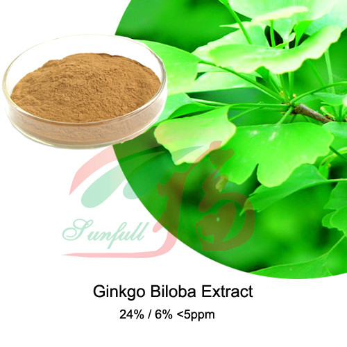 Ginkgo Biloba Extract