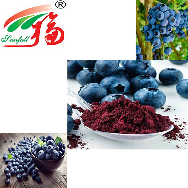 Bilberry Fruit And Veggie Powder Extract 25% Anthocyanidins-Premium ...
